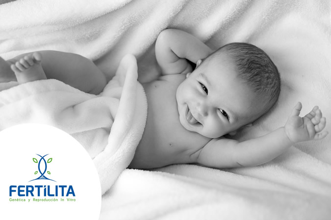 Fertílita | Programa Multiciclo